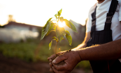 Smart Water Use - Residential - Arizona Water - Liberty